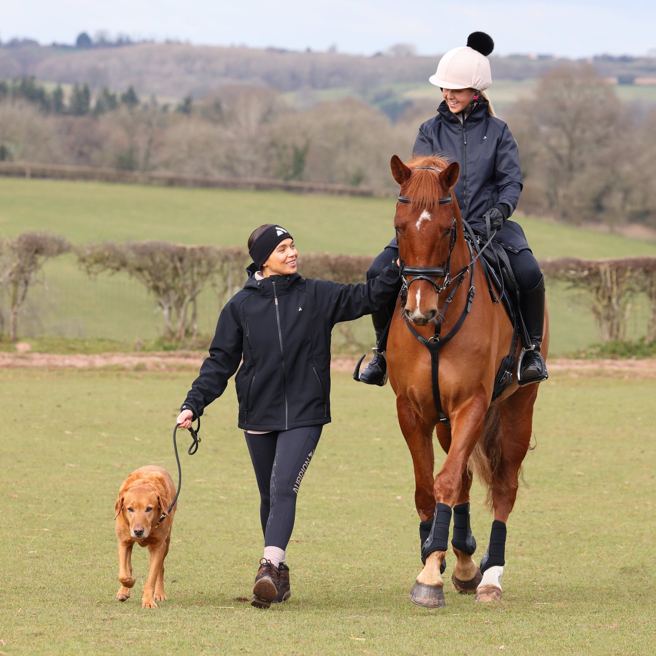 Choosing the Right Spurs for Riding Your Horse – Our Guide – Naylors