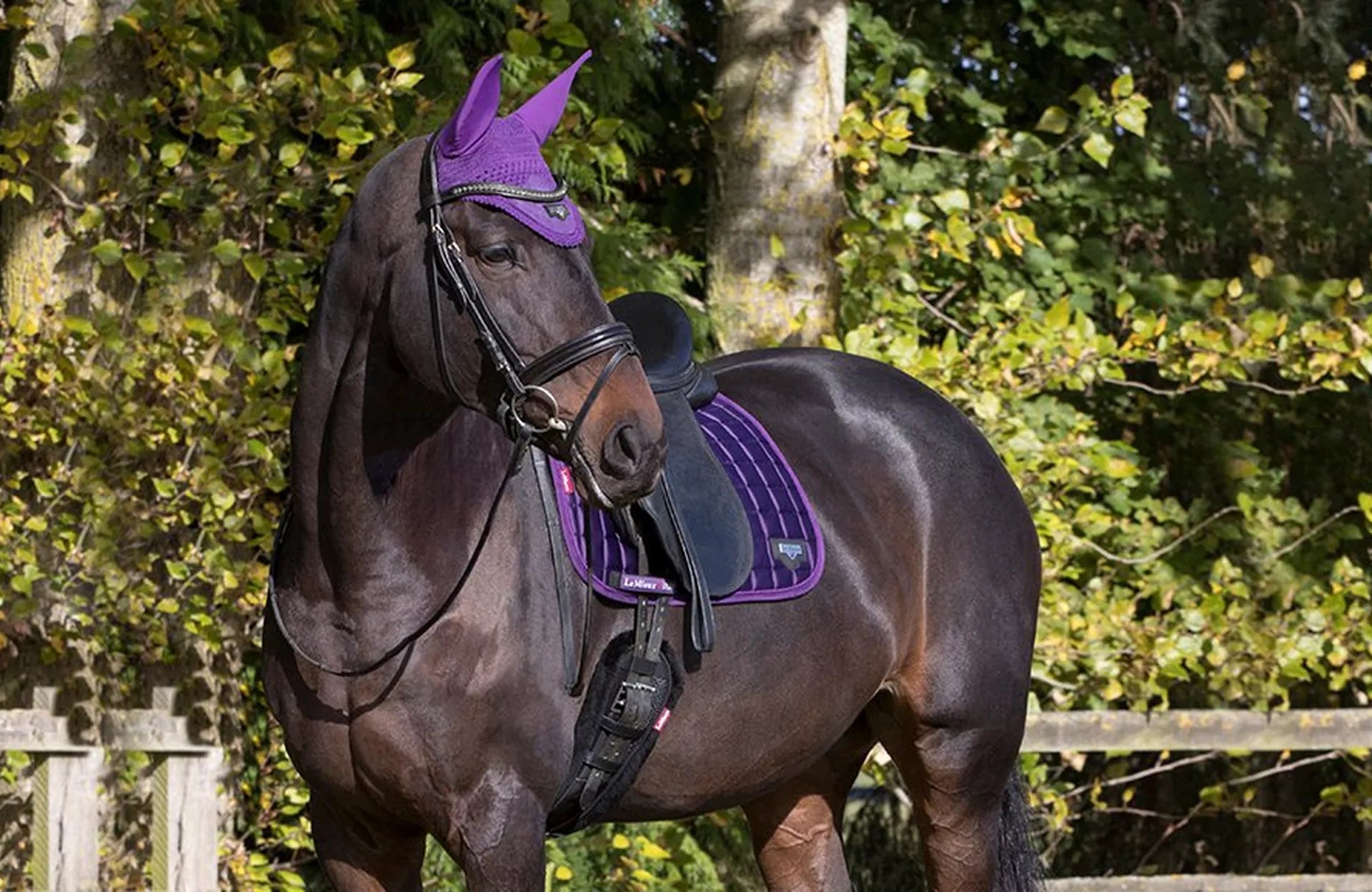 The Must See LeMieux Loire Collection – Naylors