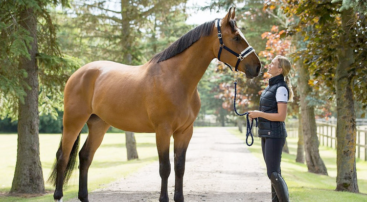 Trilanco | Trilanco Horse Riding Accessories For Sale – Naylors