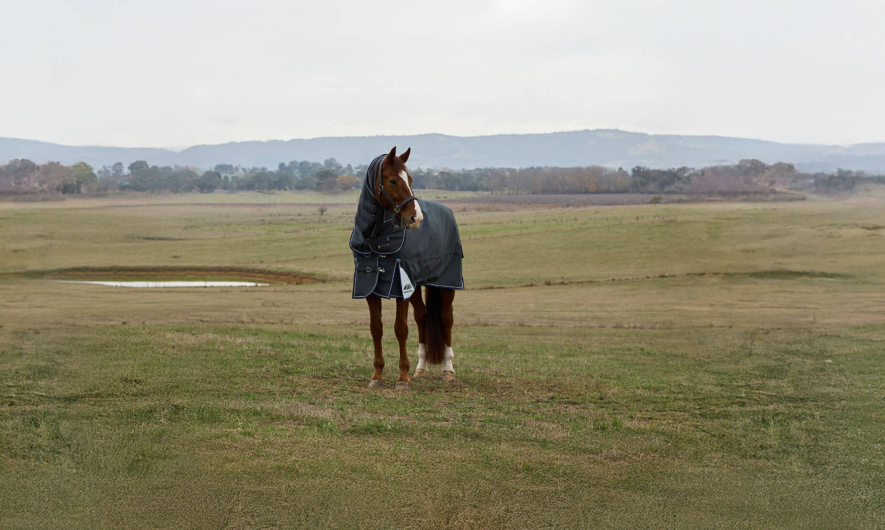 Naylors Equestrian | Tack & Saddlery | Equestrian Shop